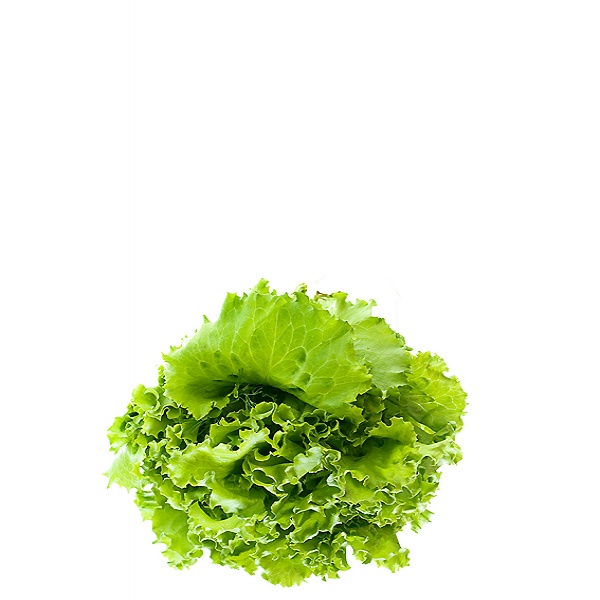 GRUPO CHACON - Supermercado - www.grupochacon.com